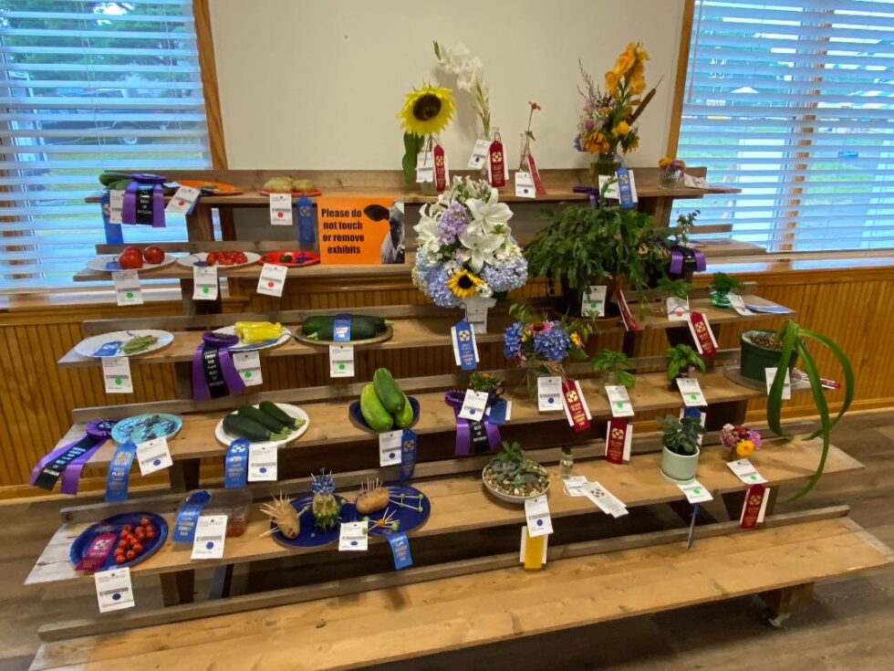 Blue Ribbon Showcase | Loudoun County Fair